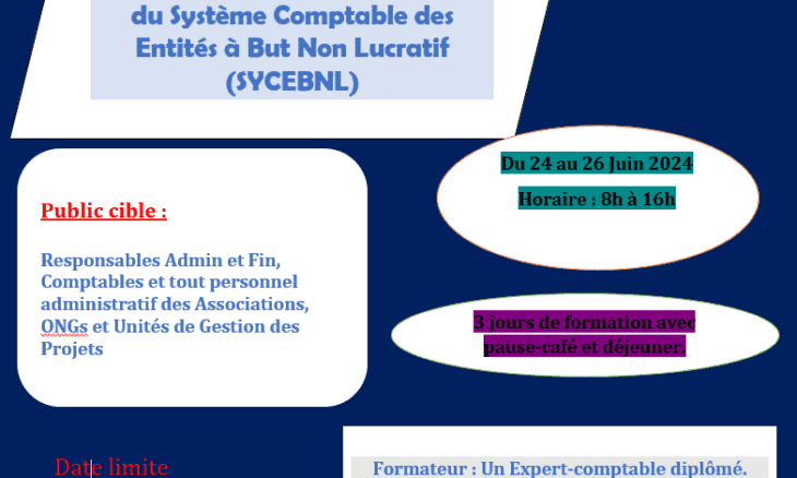Maîtrisez Le SYCEBNL : Formation Intensive Pour Gérer Les Entités à But ...